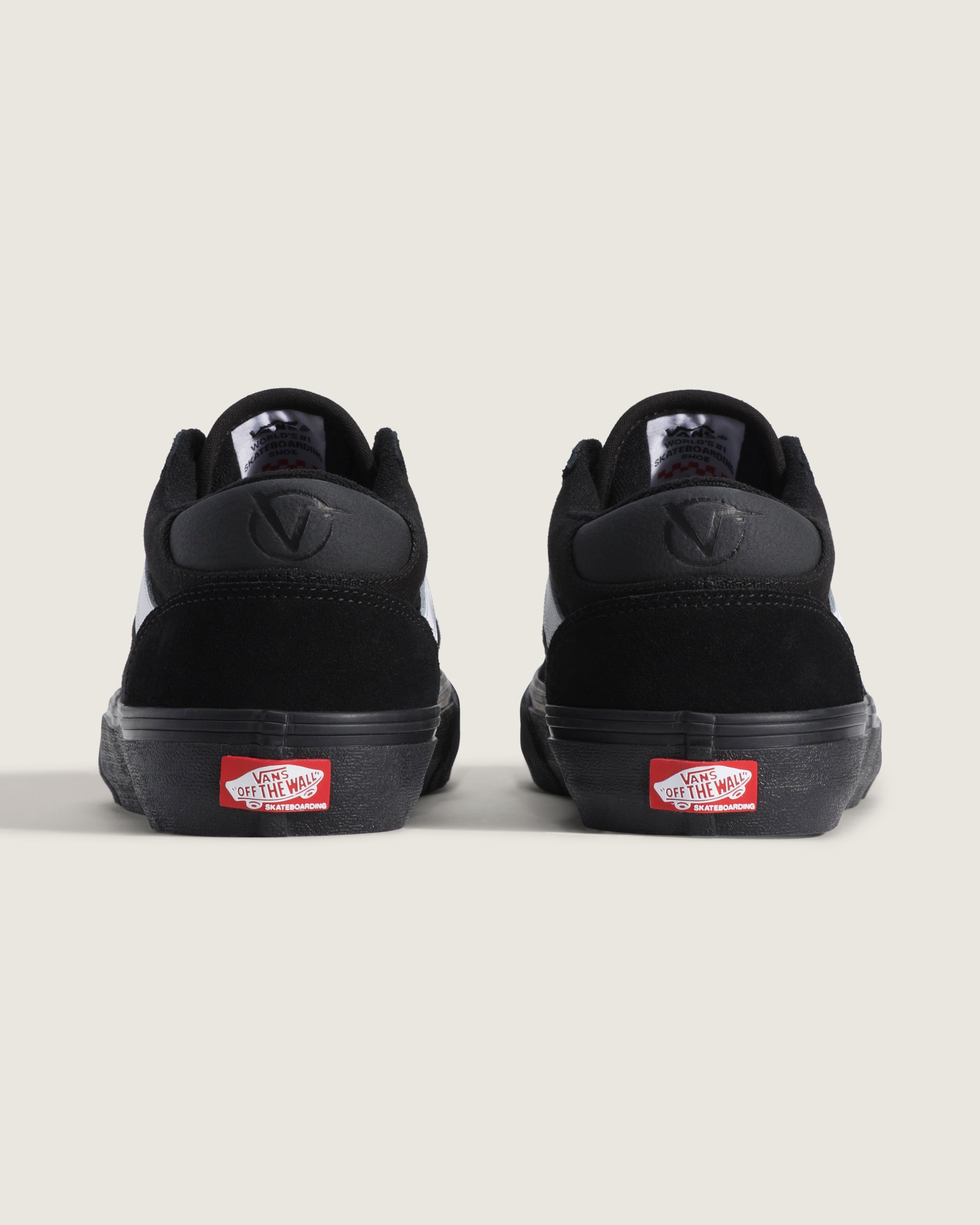 Skate Rowan Shoe in Black | Vans