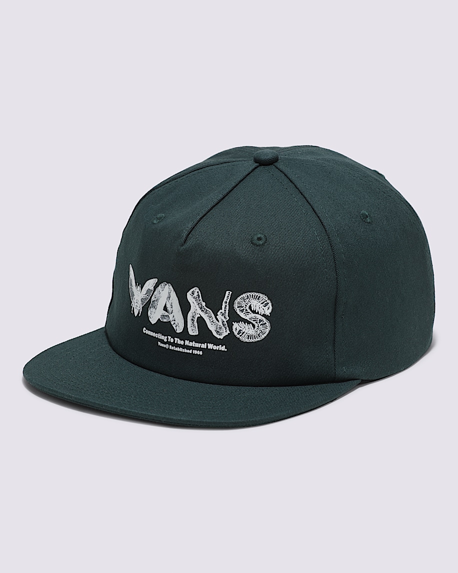 Artifacts Low Unstructured Hat in Green Gables | Vans